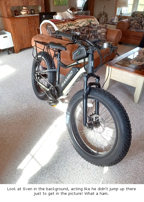 Electric Bikes | Our New Hobby – IP Furniture Designs